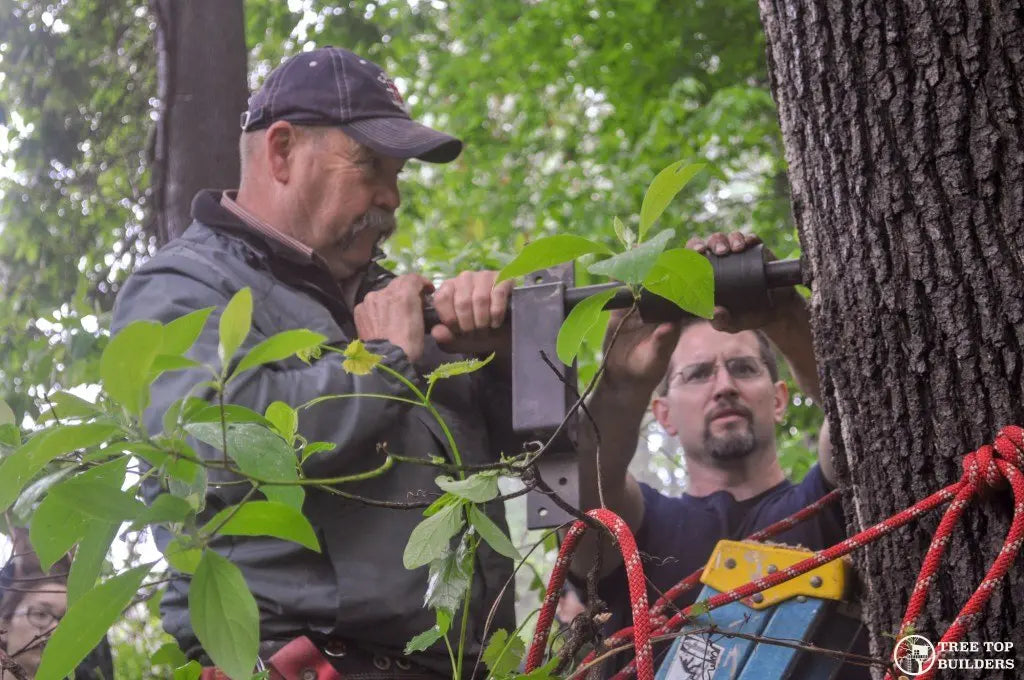 Checking A Tree's Health Checking A Tree's Health - Tree Top Builders