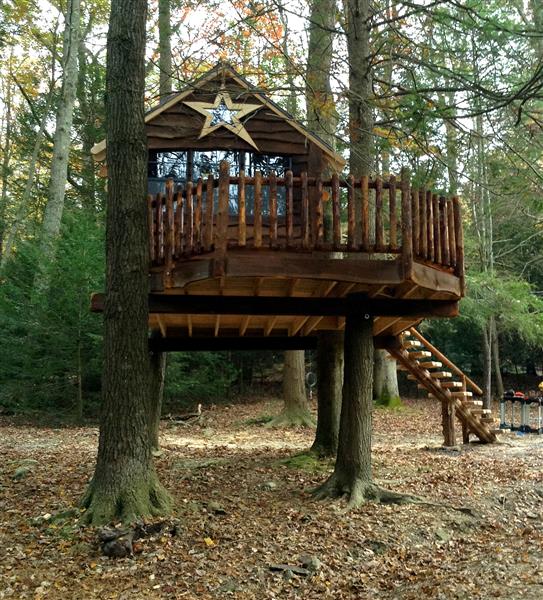 Mountain Retreat Treehouse - Tree Top Builders