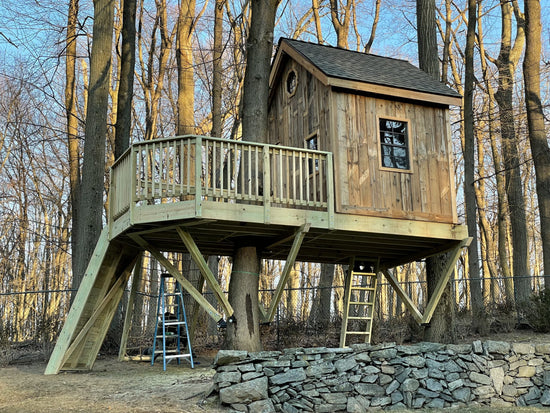 Basic Backyard Treehouses - Tree Top Builders