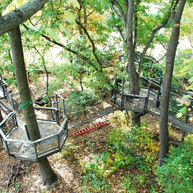 Commercial Treehouses - Tree Top Builders