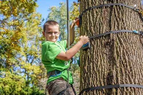 Tree House Accessories - Tree Top Builders