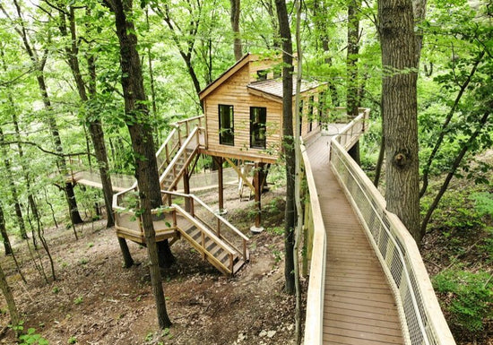 Professional Tree House Portfolio Custom Built Treehouses - Tree Top ...