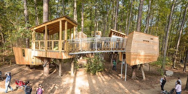 Museum of Life and Science - Tree Top Builders