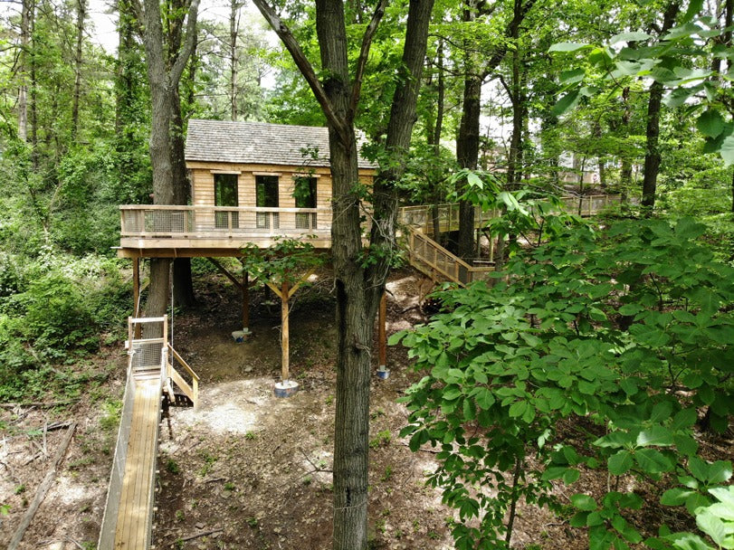 Outdoor Classroom Treehouse - Tree Top Builders