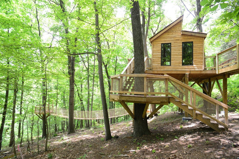 Outdoor Classroom Treehouse - Tree Top Builders