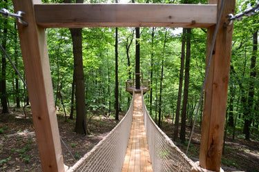 Outdoor Classroom Treehouse - Tree Top Builders
