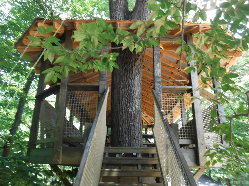 Pavilion Treehouse - Tree Top Builders