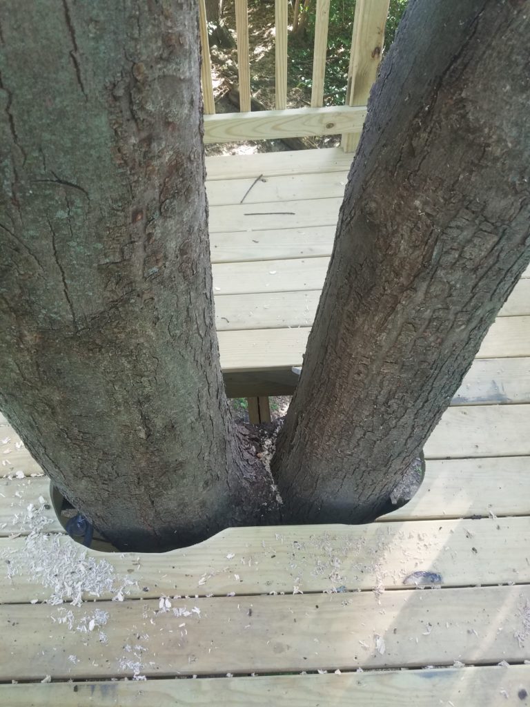 Learning Treehouse - Tree Top Builders