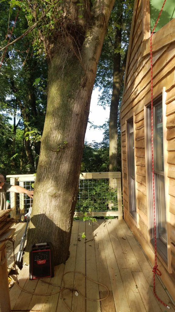 Learning Treehouse - Tree Top Builders