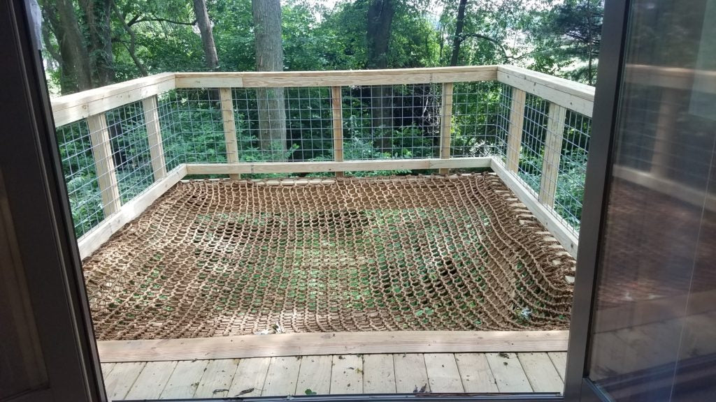 Learning Treehouse - Tree Top Builders