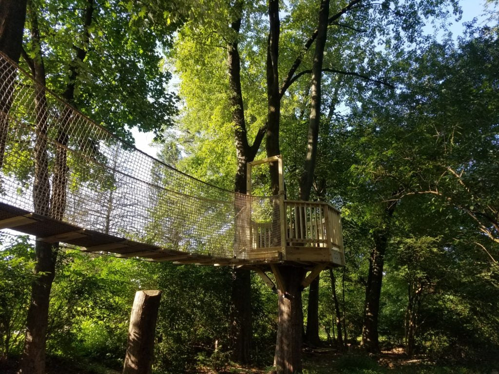 Learning Treehouse - Tree Top Builders