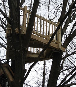Crow's Nest - Tree Top Builders